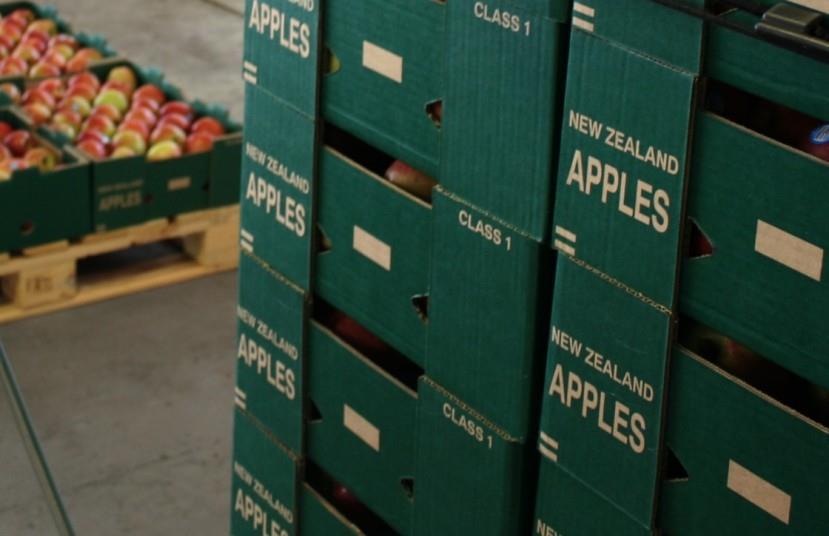 Apple Futures leaves lasting legacy | Article | Fruitnet