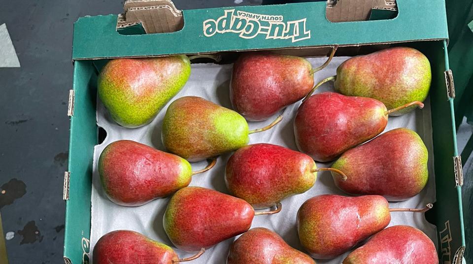 Tru-Cape ready to sell first Cape Blush pears | News | Fruitnet