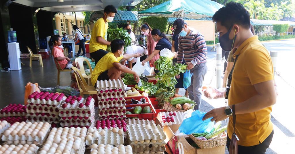 Philippine produce platform expanded | Article | Fruitnet