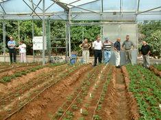 The value proposition | Article | Fruitnet