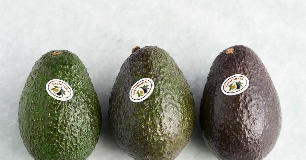 California avocados turn focus to online | Article | Fruitnet