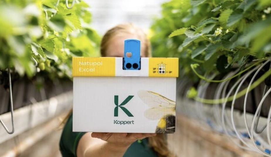 Koppert secures €140m investment to propel global growth | News | Fruitnet