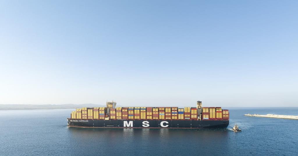 MSC switches India-Africa service from Coega to Cape Town | News | Fruitnet