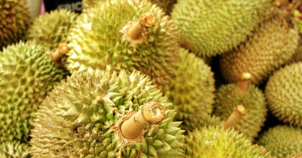 Malaysia explores new markets for billion-dollar durian trade | News ...