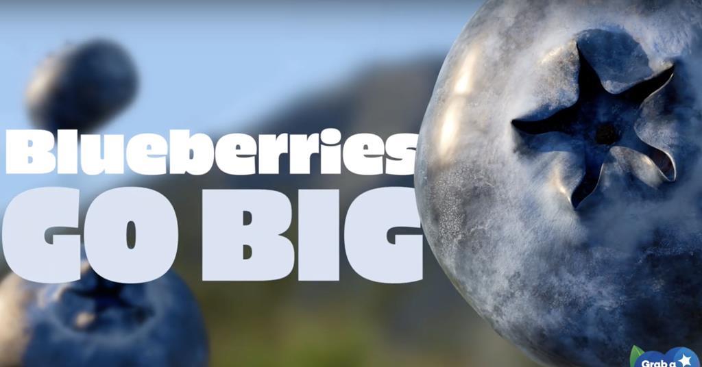 USHBC launches 'Blueberries Go Big' marketing campaign showcasing ...