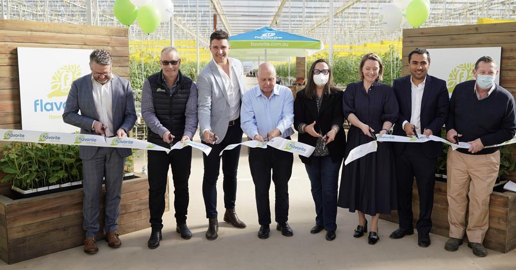 Flavorite opens new glasshouse | Article | Fruitnet