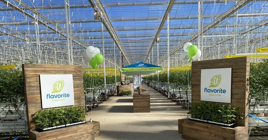 Flavorite opens new glasshouse | Article | Fruitnet