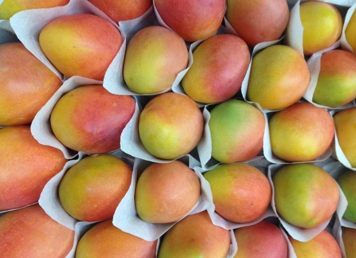 colombian mango