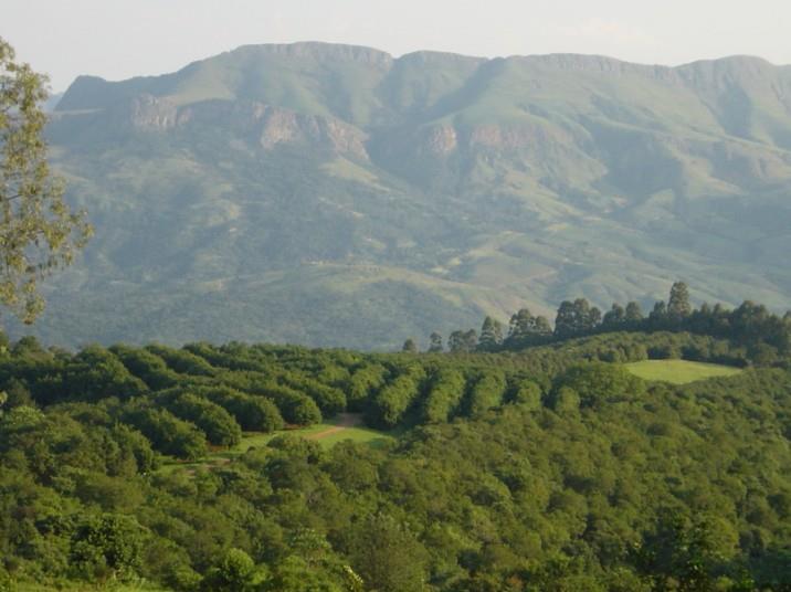 South Africa land debate goes on | Article | Fruitnet