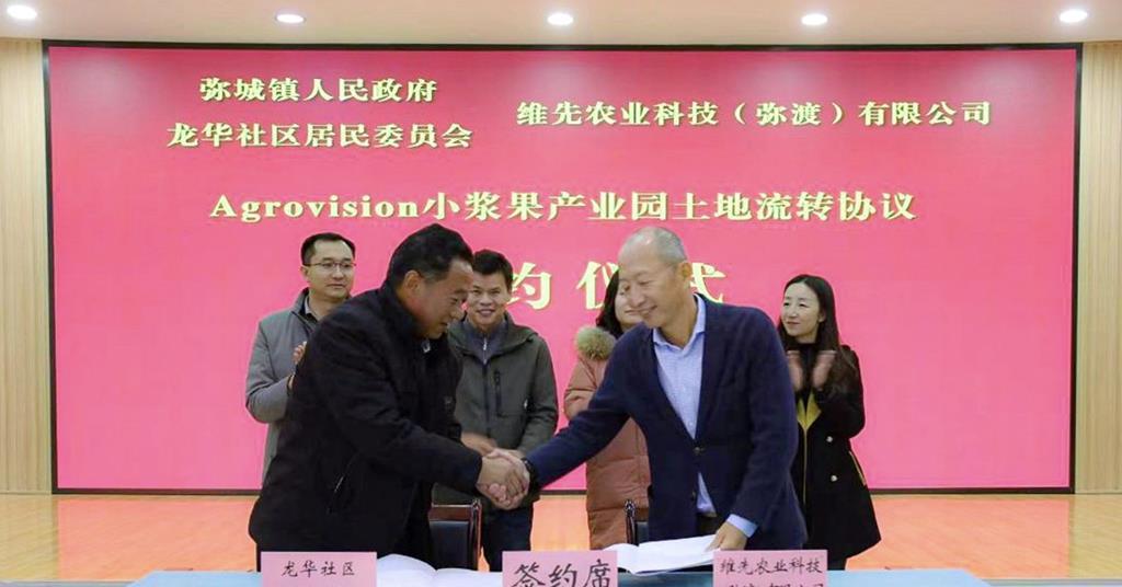 Agrovision to start large-scale berry farming operations in China ...