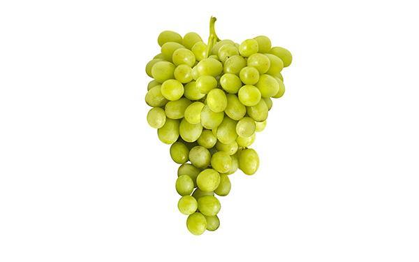 Pretty Lady Vineyards launches new green seedless grape variety | News ...