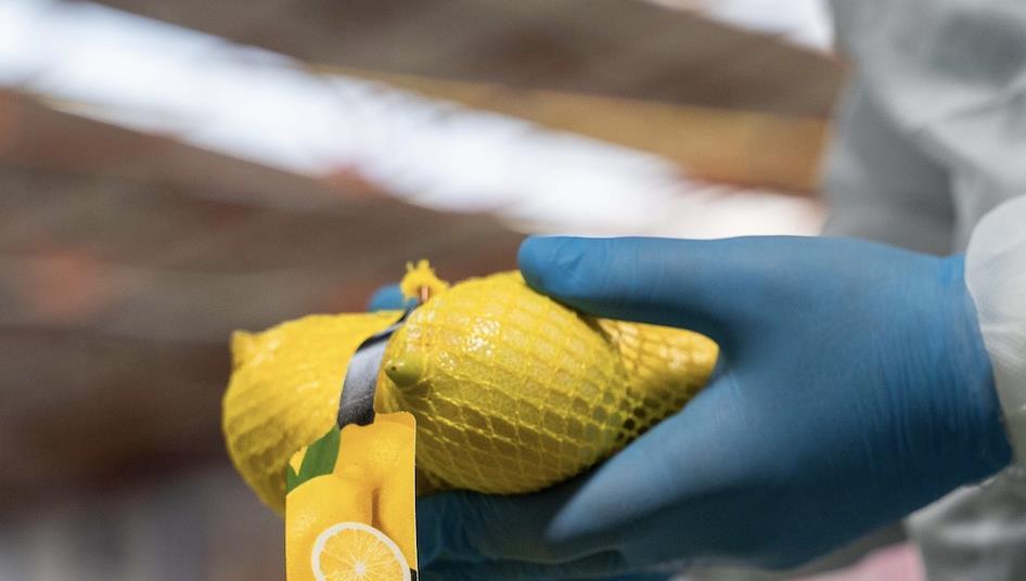 Turkish citrus back in the spotlight | News | Fruitnet