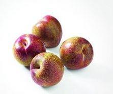‘Watermelon’ plums in Morrisons | Article | Fruitnet