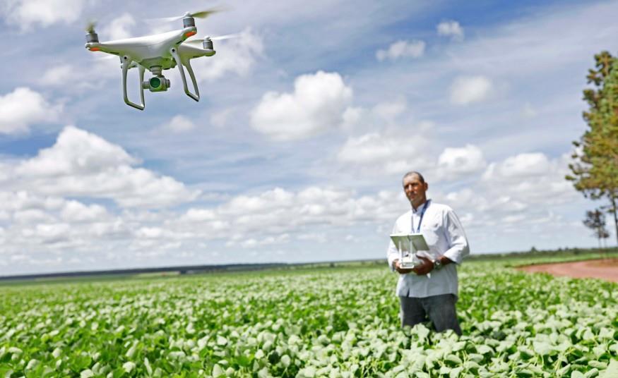 Harvesting success with agritech | Article | Fruitnet