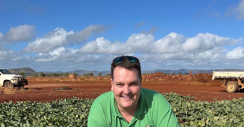 Australian melons chase bigger slice of Asia | News | Fruitnet