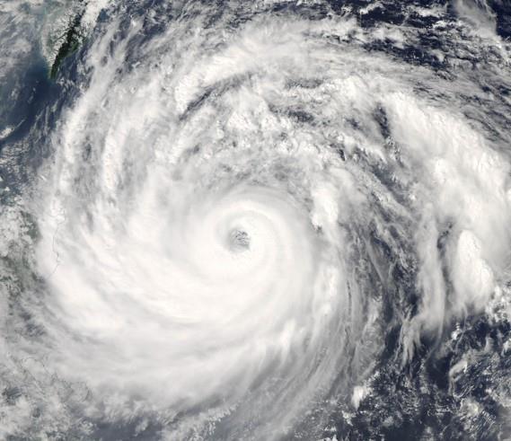 Typhoon Morakot hits Taiwan crops | Article | Fruitnet