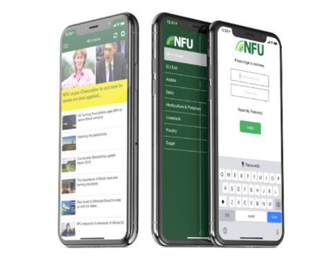 NFU launches news and info app | Article | Fruitnet
