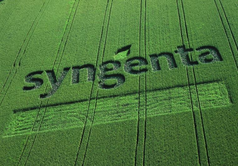Syngenta and Univeg sign collaboration | Article | Fruitnet
