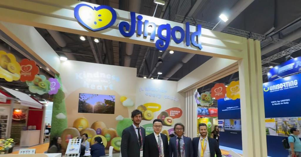 Jingold expects 20% increase in yellow kiwifruit production as company ...