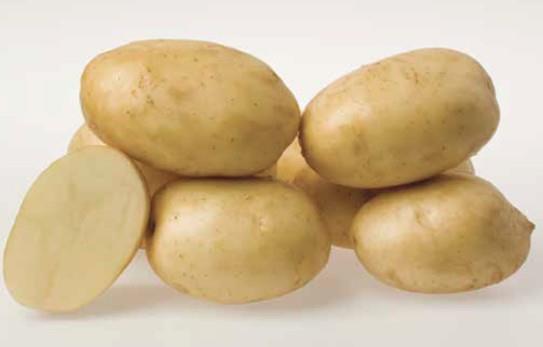 New potato is a Beauty | Article | Fruitnet