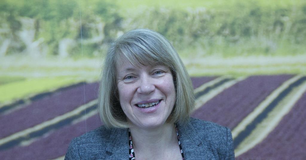 Interview: Susan's Way | Article | Fruitnet