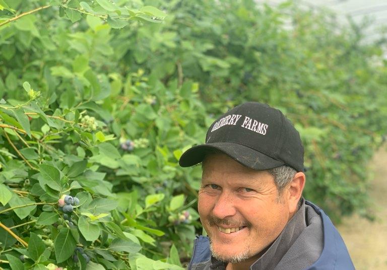 Record volume of blueberries consumed in NZ | Article | Fruitnet