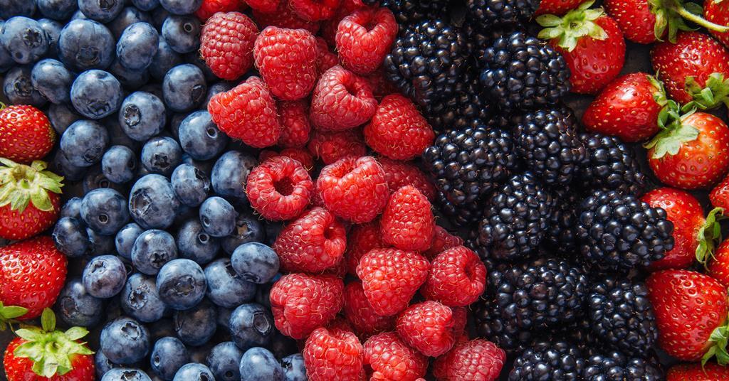 British Berry Growers sets up R&D board | News | Fruitnet
