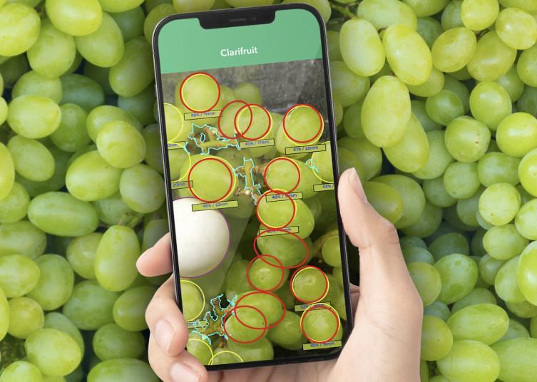 Clarifruit offers Migiva AI-powered QC | Article | Fruitnet