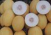 Four in 10 melons rejected by Russian company | Article | Fruitnet