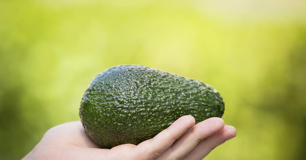WAO: Avocados top the charts in nutrient-to-water efficiency | News ...