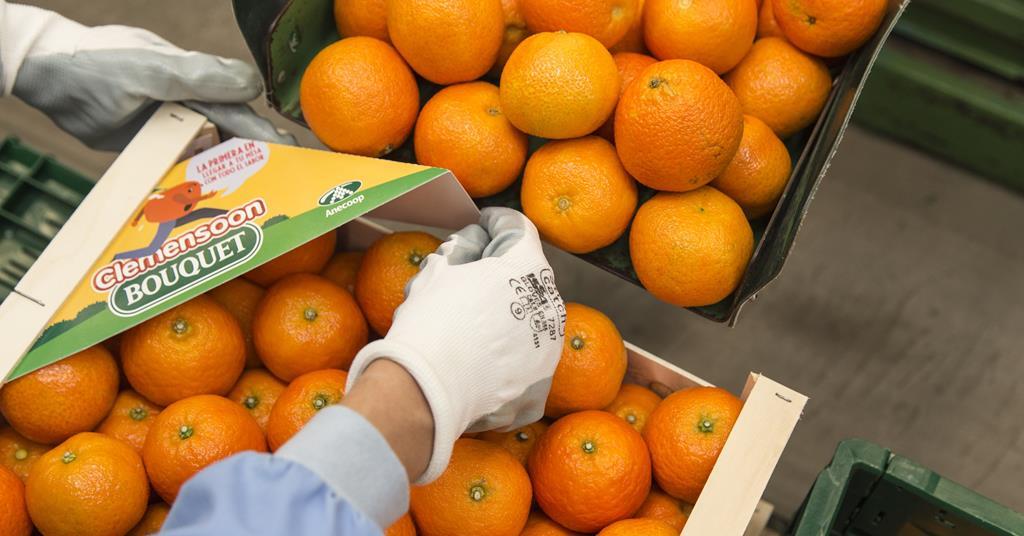 Alzicoop joins Green Fruits second-tier cooperative | Article | Fruitnet