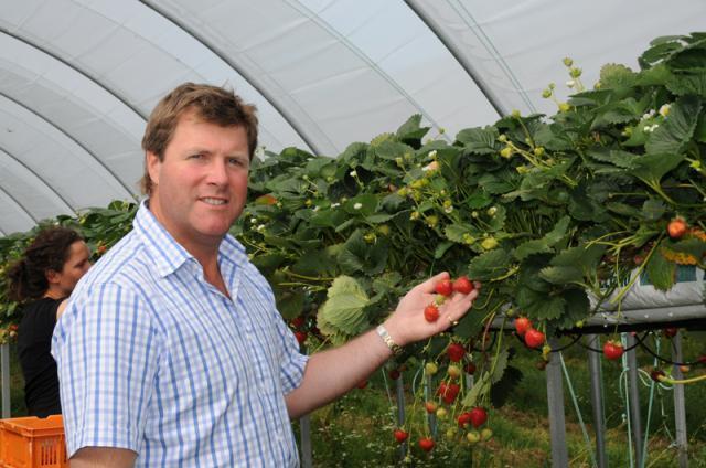 Kent growers sweep the board | Article | Fruitnet