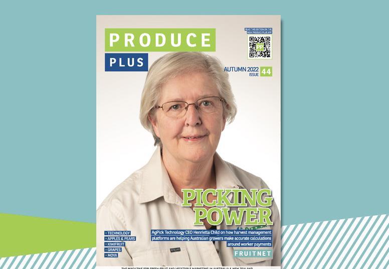 Autumn edition of Produce Plus out now | Article | Fruitnet
