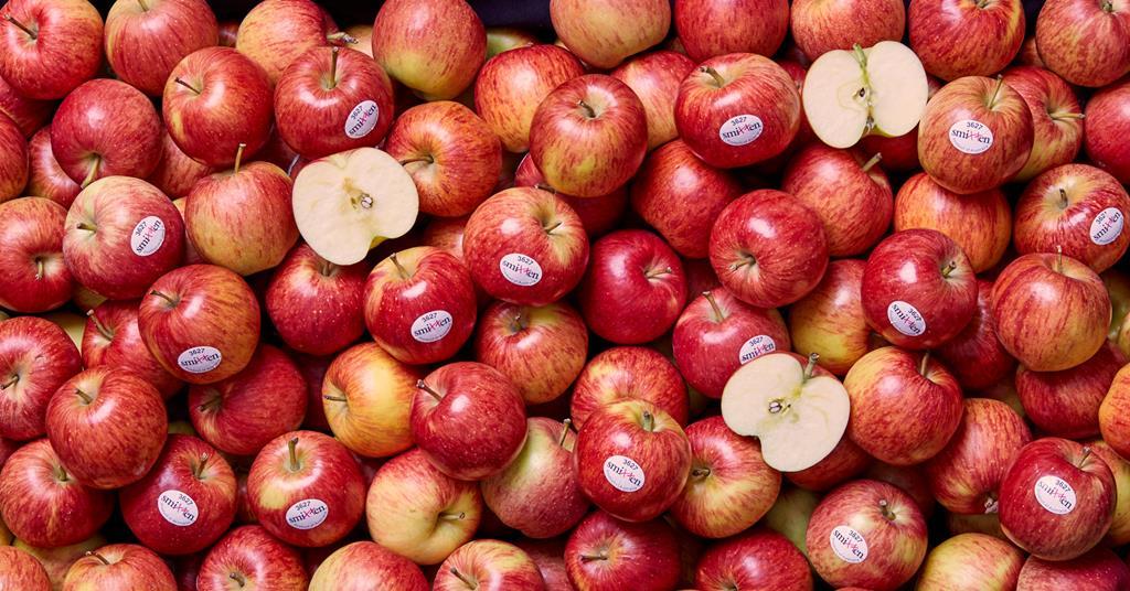 Smitten kicks off Montague’s apple offering | News | Fruitnet