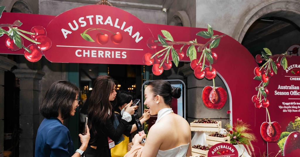 Australian cherries launch season in Vietnam | News | Fruitnet