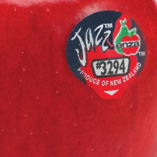 Jazz apple exports to top 1m cartons | Article | Fruitnet