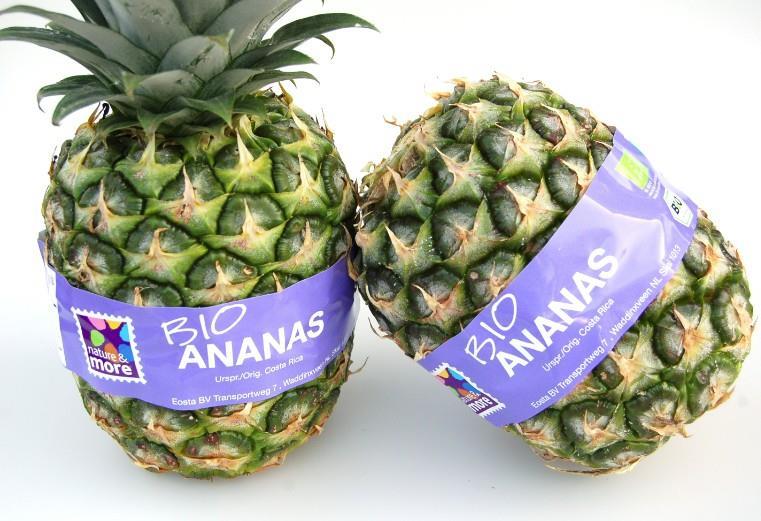 Eosta champions crownless pineapple | Article | Fruitnet