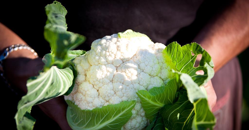 Hort Innovation R&D programme a multi-billion-dollar boost for ...