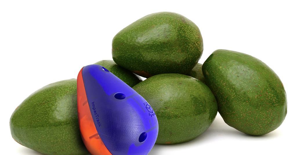 Electronic avocado helps cut food waste | Article | Fruitnet