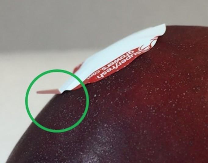 Sinclair introduces TruTab label | Article | Fruitnet