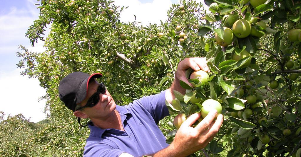 Neuseeland: Erzeuger blicken trotz vieler Probleme verhalten ...