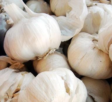 Positive garlic campaign for Spain | Article | Fruitnet