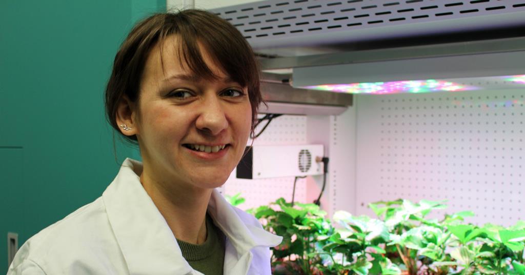 LST appoints new plant scientist | Article | Fruitnet