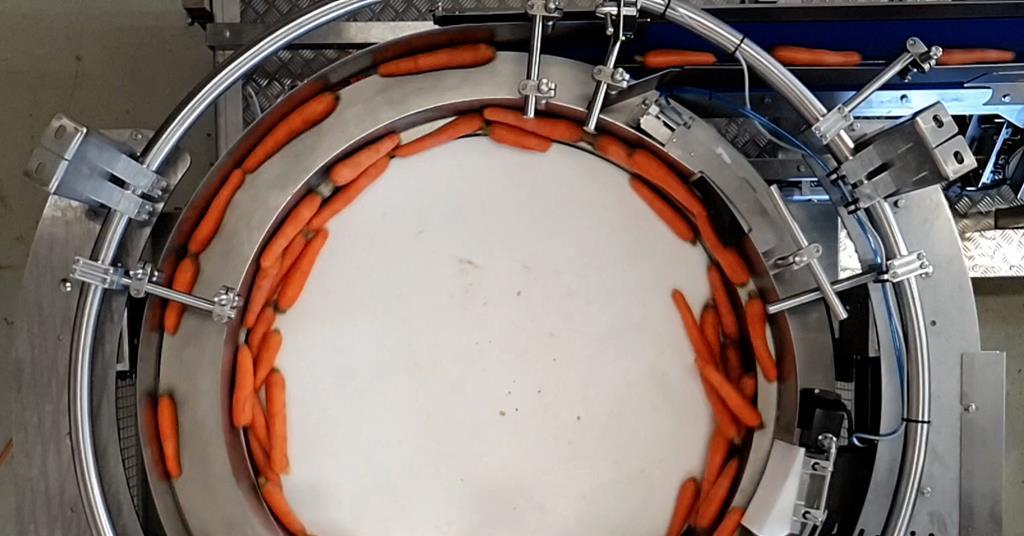 Raft of updates for carrot optical sorter | News | Fruitnet