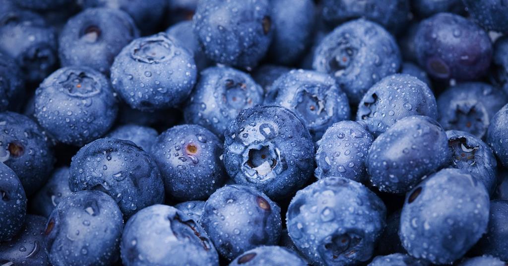 Eastern berry promise | Article | Fruitnet