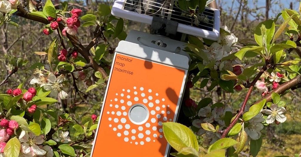 New insect monitors listen out for bee activity in UK apple orchards ...