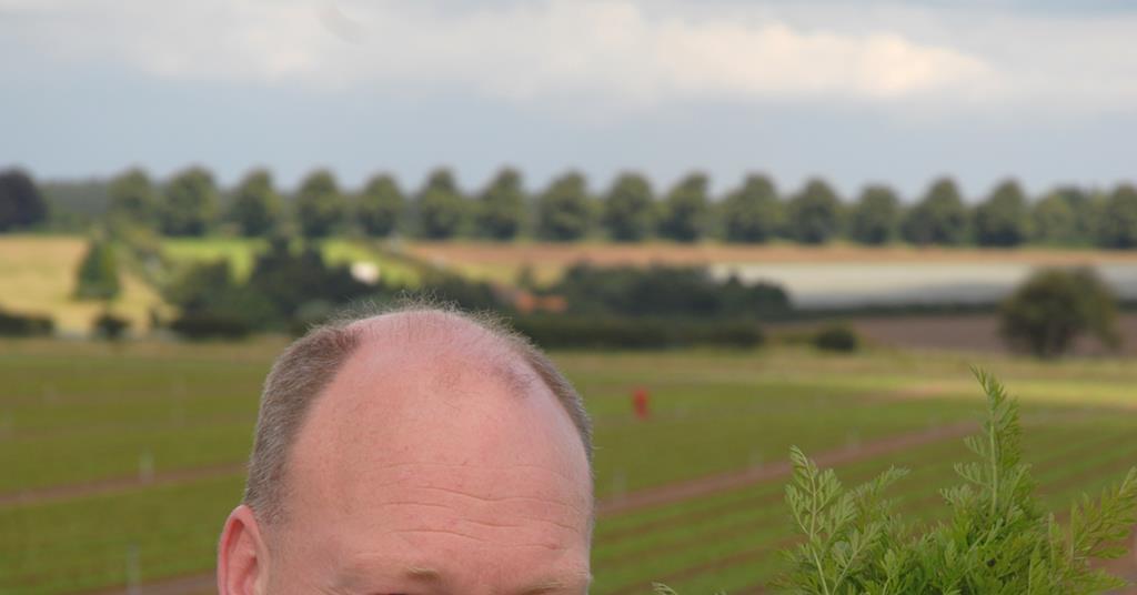 Martin and the Carrot Factory | Article | Fruitnet
