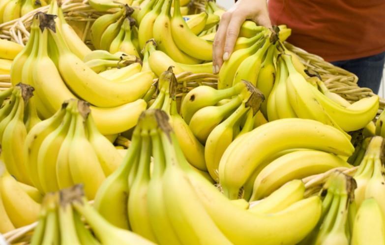 Record year for Aussie bananas | Article | Fruitnet