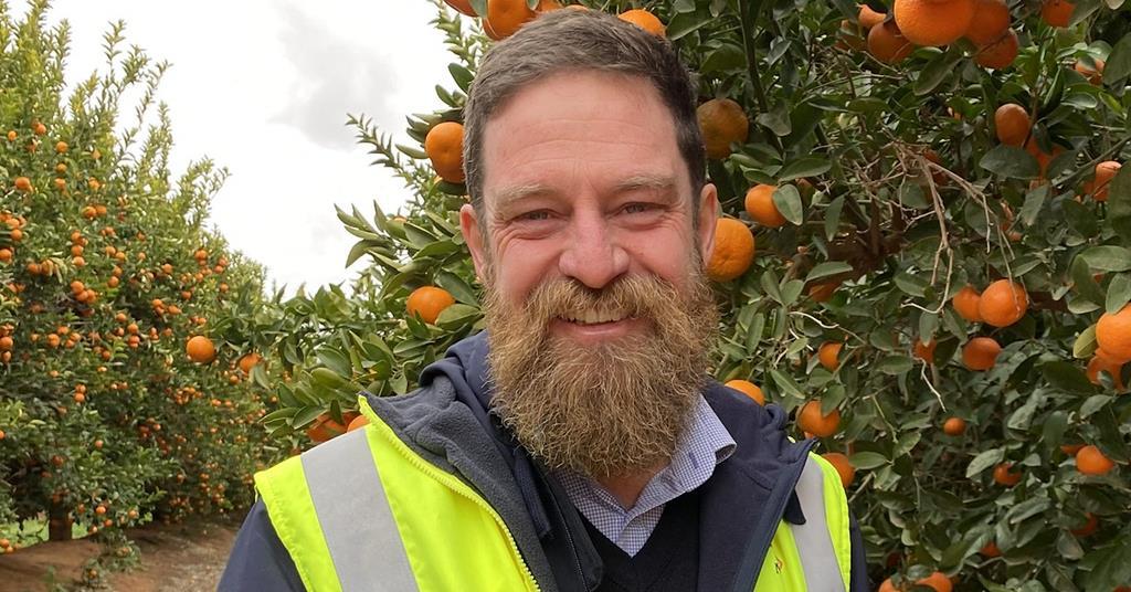 Shaffe appoints new leaders | News | Fruitnet