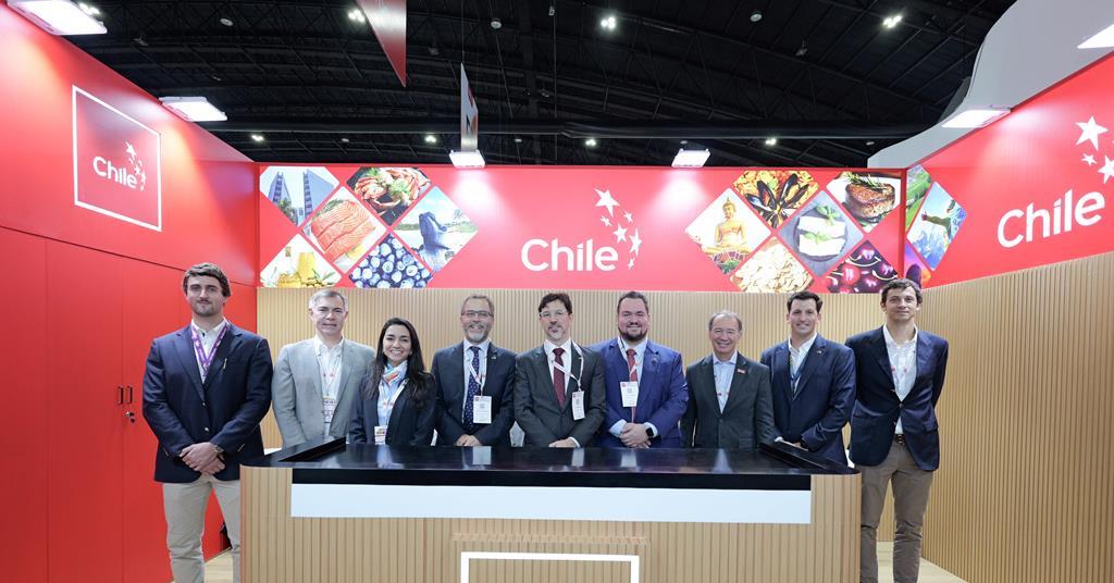 Chile eyes export opportunities in the Philippines | News | Fruitnet